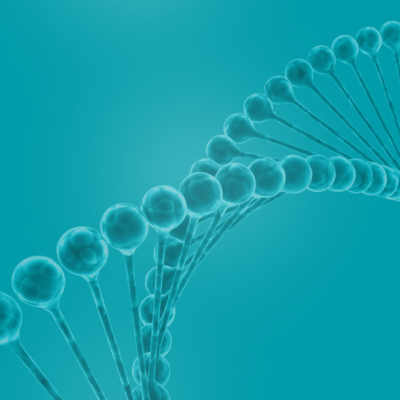 Home - Alifax España